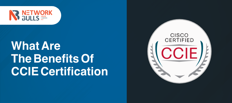 Career in CCIE or Cloud Computing : Which One Should You Choose?